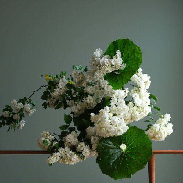 The Portland Garden Club